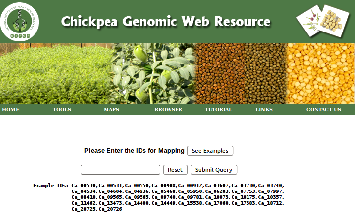 National Institute of Plant Genome Research